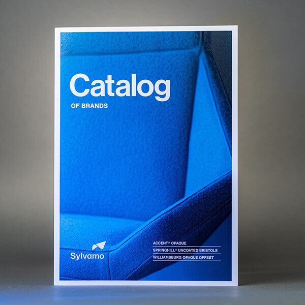 Accent Opaque Sample Store