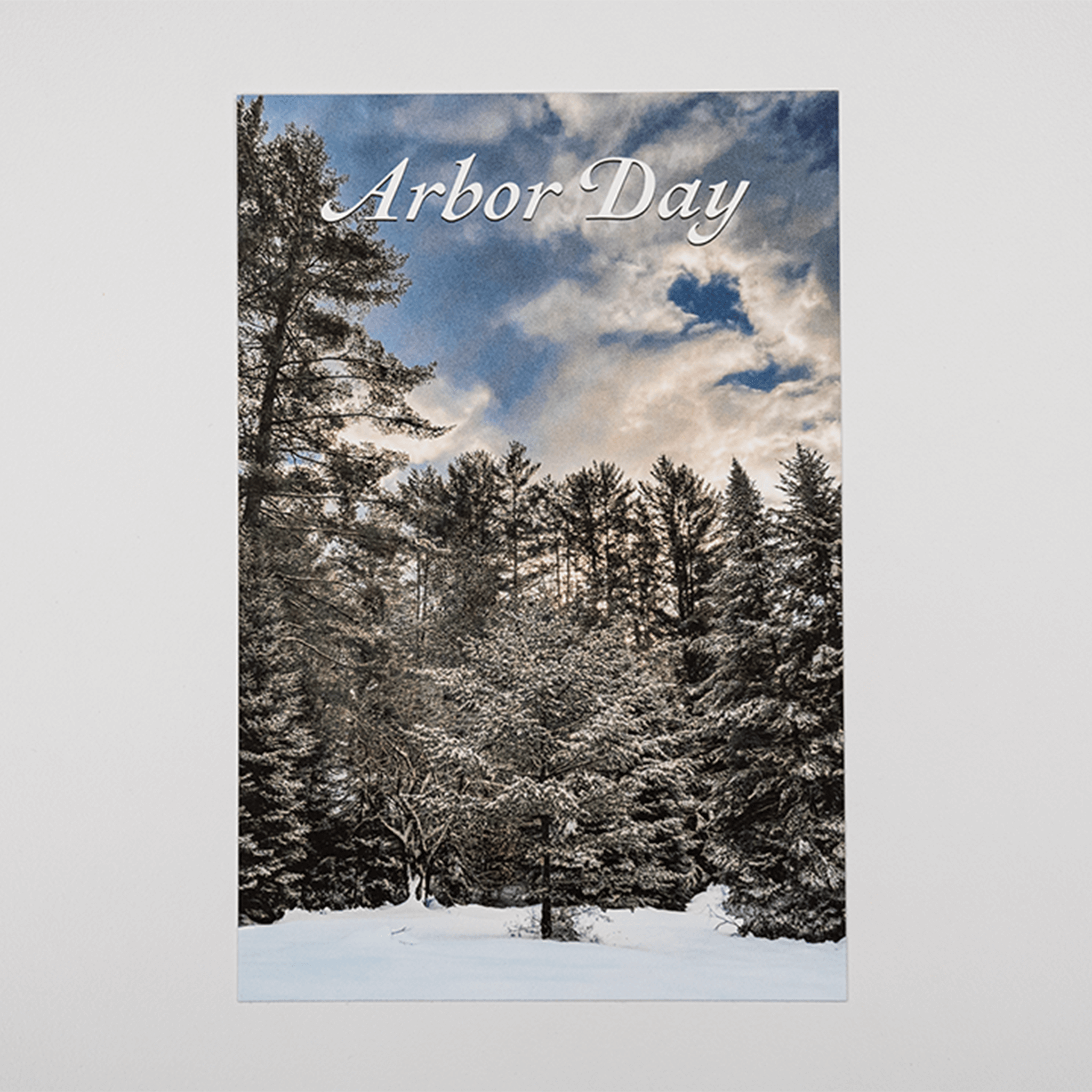 Arbor Day Postcard 2024 – Accent Opaque Sample Store